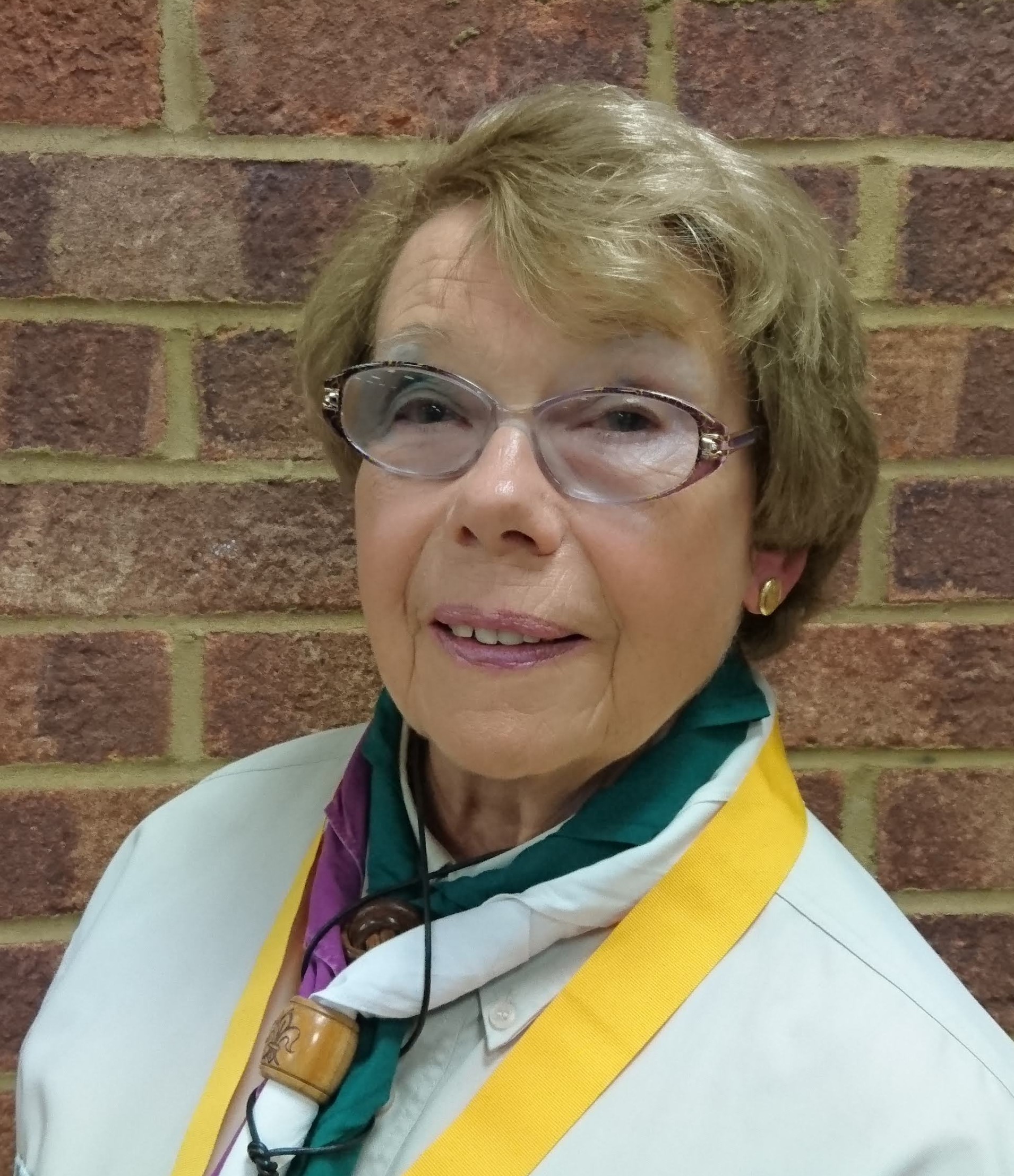 District Team | Greenford & District Scouts